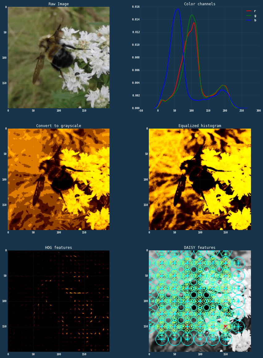 Bumble bee or honey bee? - DrivenData Labs