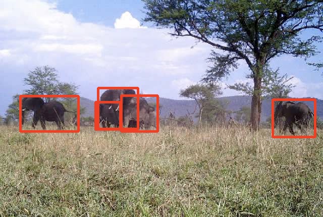 Introduction to Image Classification using Camera Trap Images - DrivenData Labs